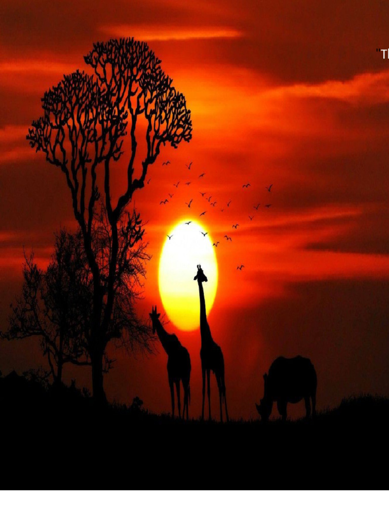 WILDLIFE CONSERVATION POSTER | PDF