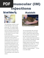 Rabbit Intramuscular Injection Guide | PDF | Injection (Medicine ...