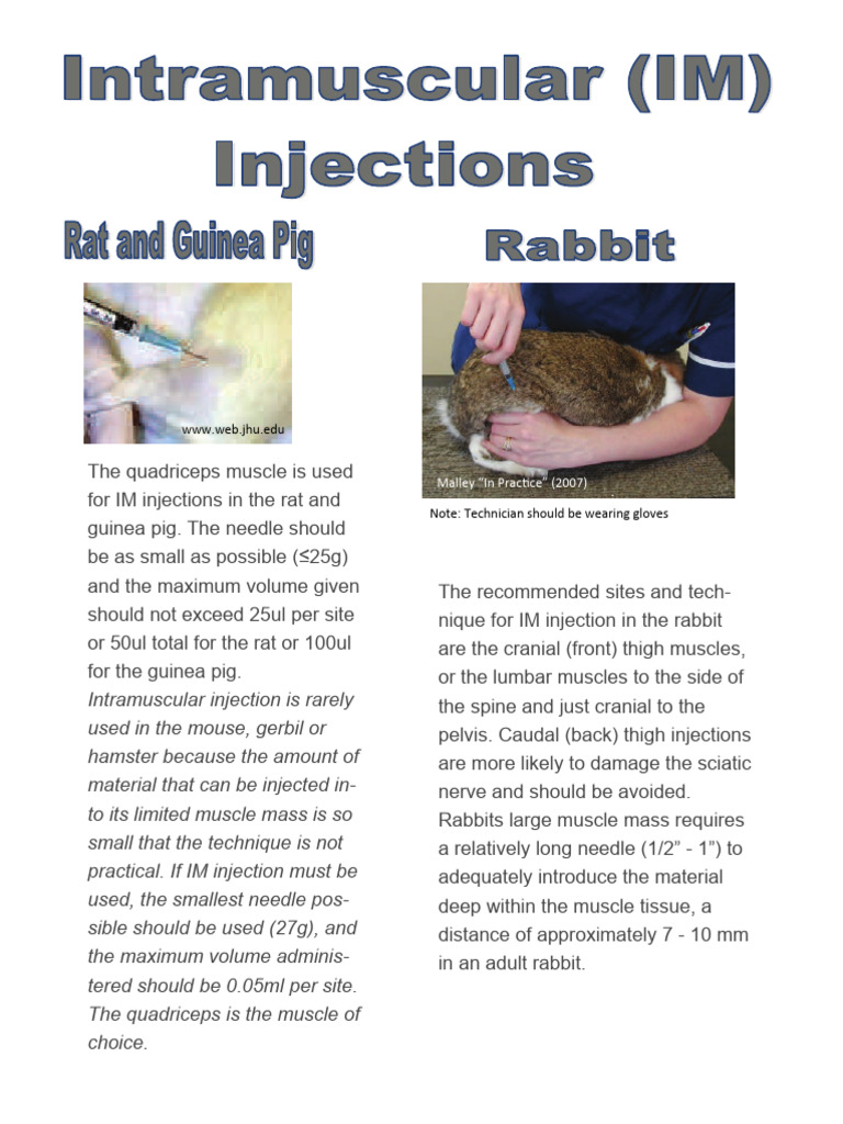 Intramuscular IM Injections | PDF