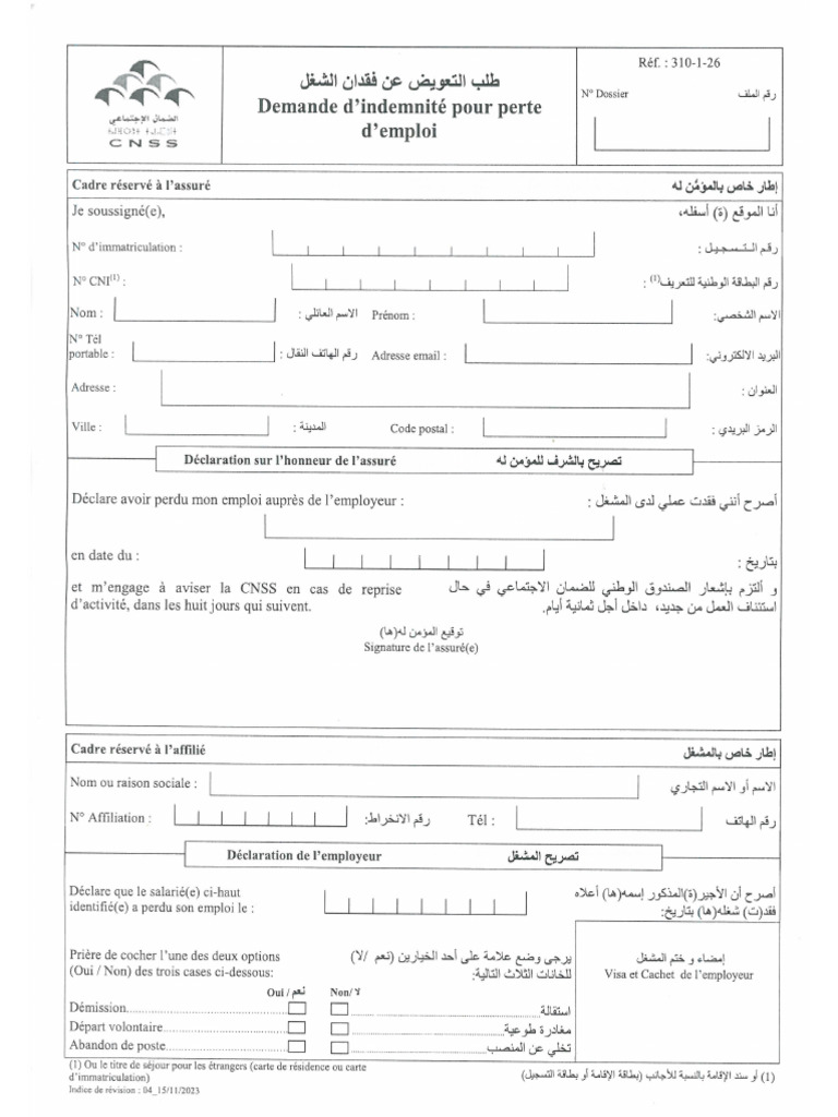 cnss 2 | PDF