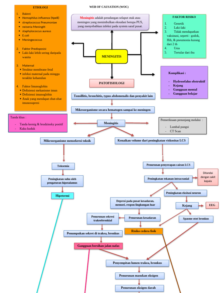 Woc Meningitis Ermita | PDF