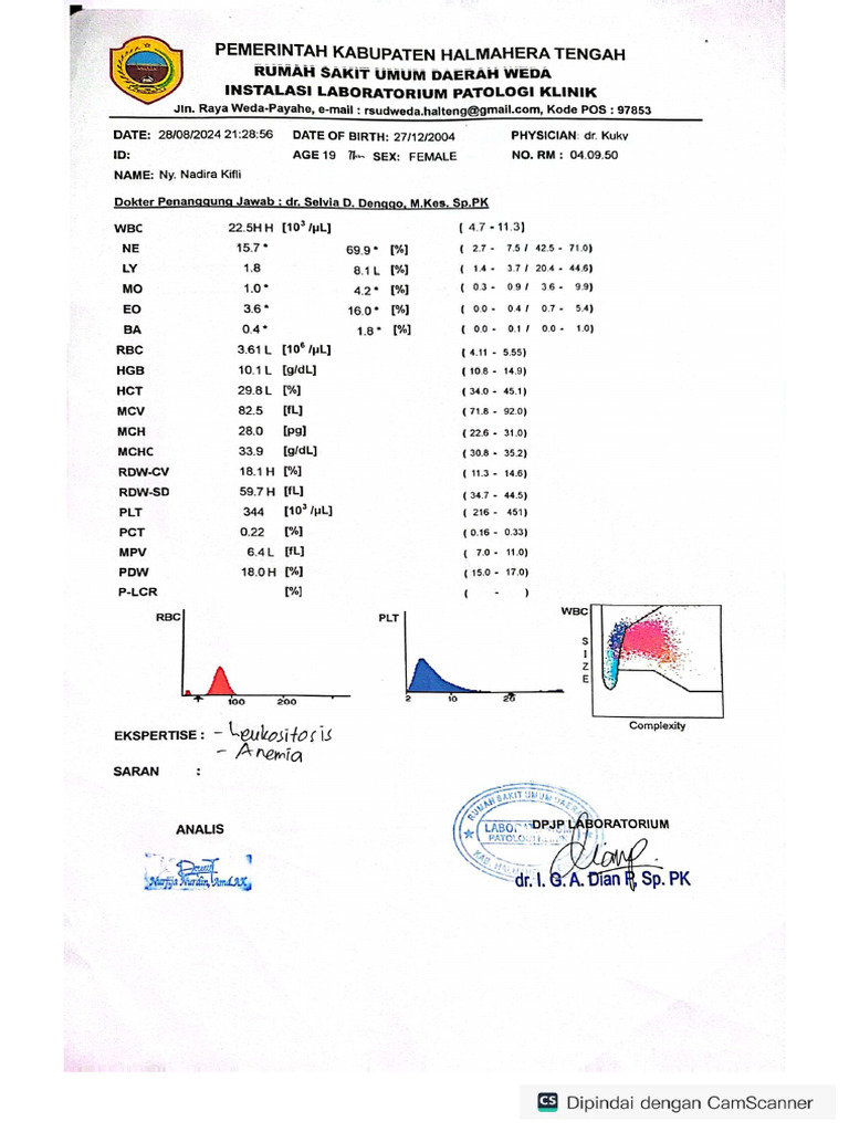 Bukti hasil Hematologi 5 Diff Alat Nihon | PDF