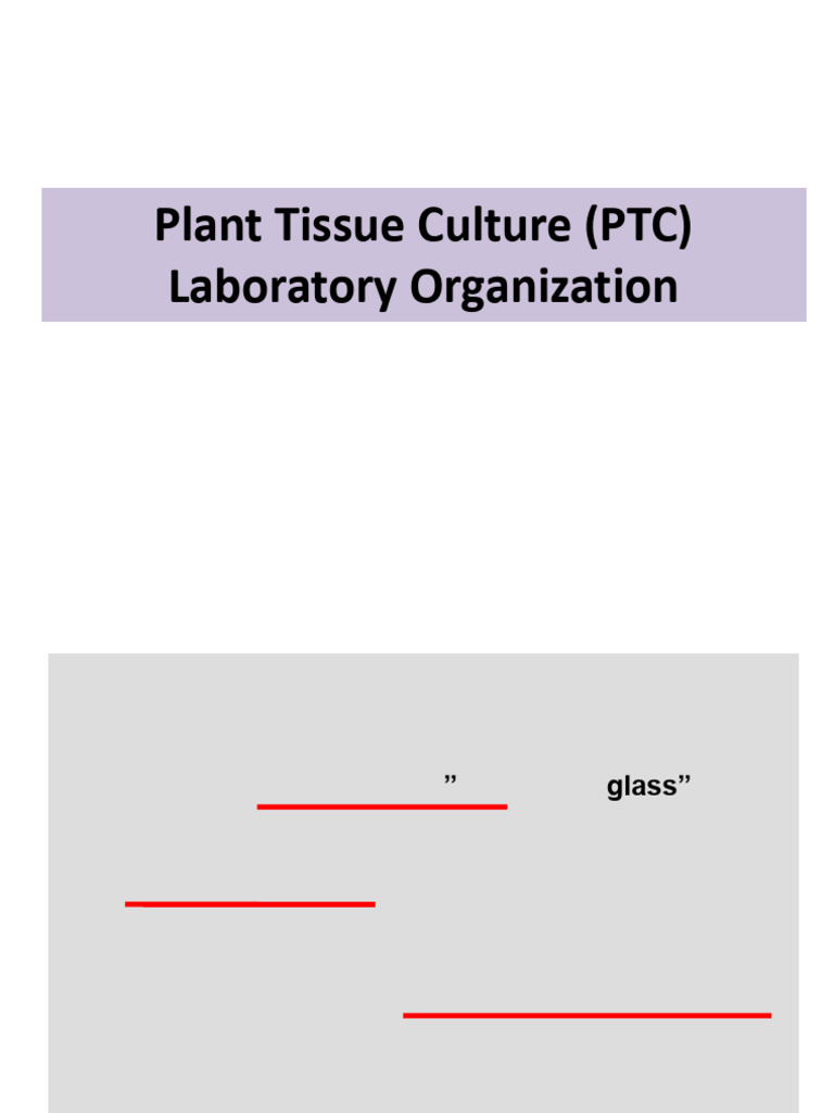 Intro Part 2 PTC Lab Organization | PDF