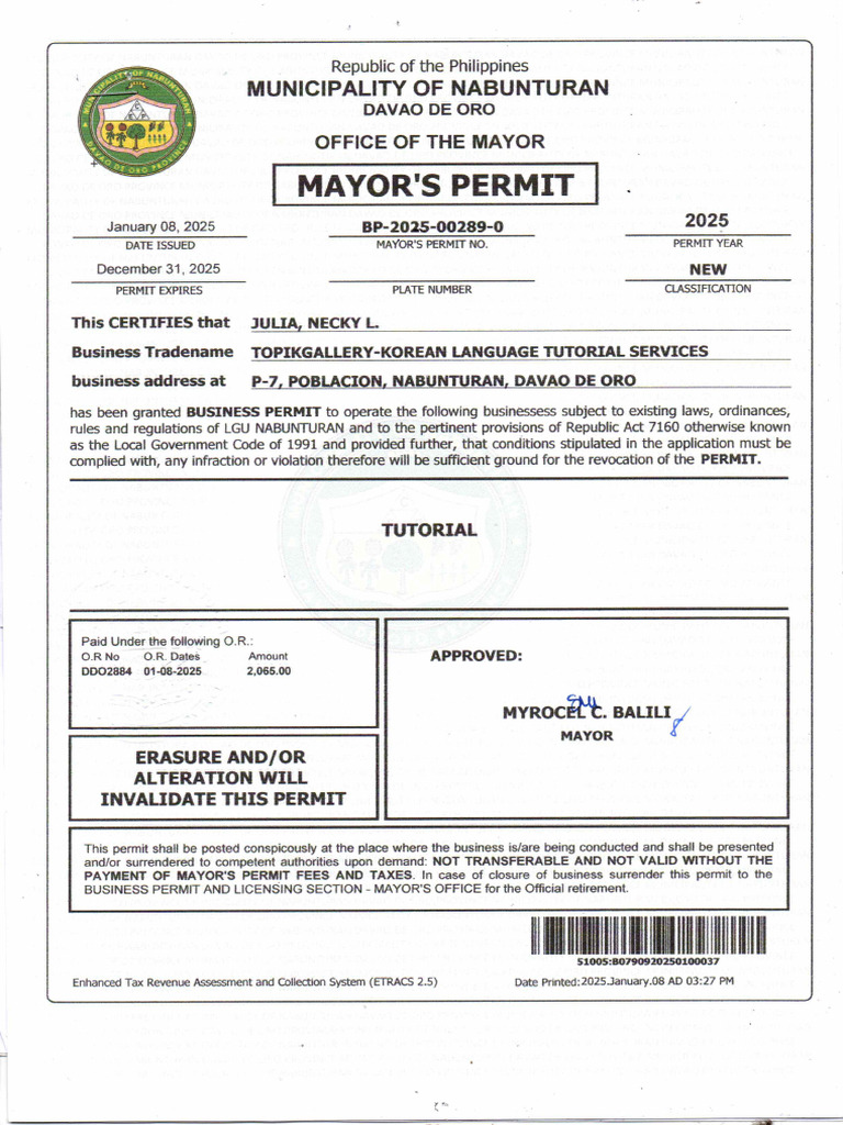 Mayors Permit20250113 - 12063978 | PDF