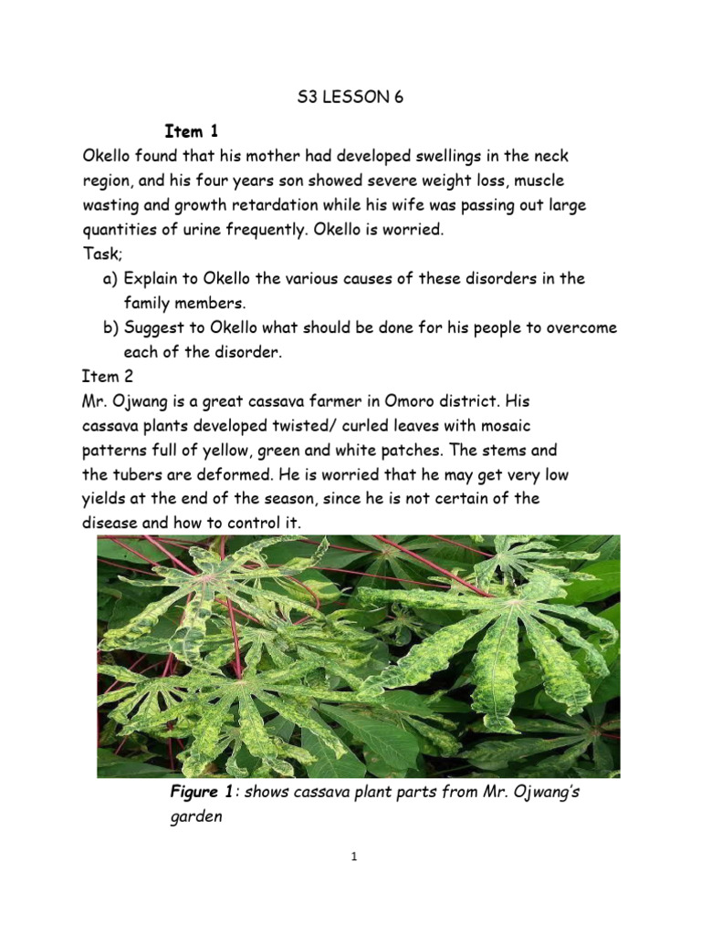S3 LESSON 6 | PDF | Plants | Virus