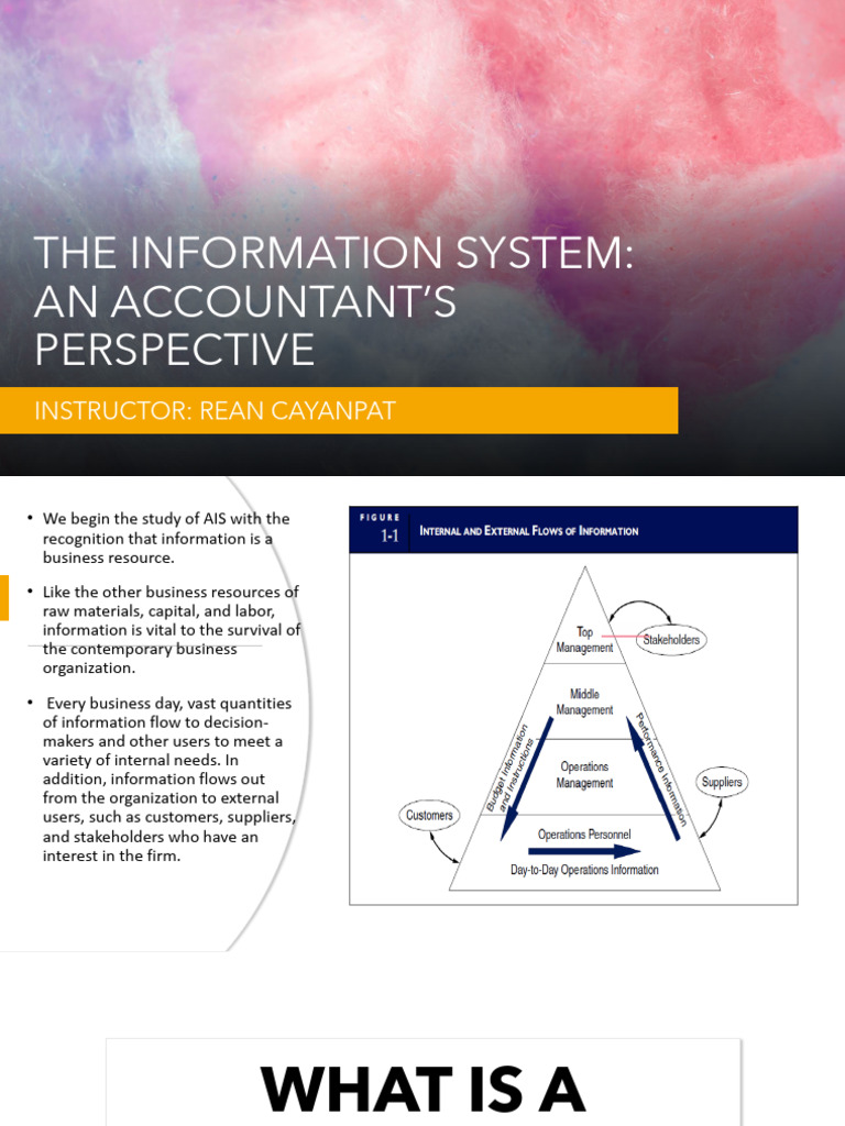 Accountants' Guide to AIS | PDF | Databases | Information