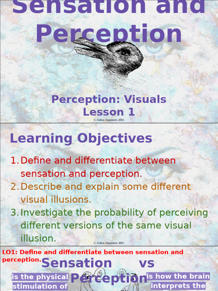 1.-Sensation or Perception and Abiguity Research Task | PDF ...