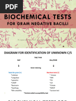 Biochemical Tests for Bacterial Identification | PDF | Catalase | Bacteria
