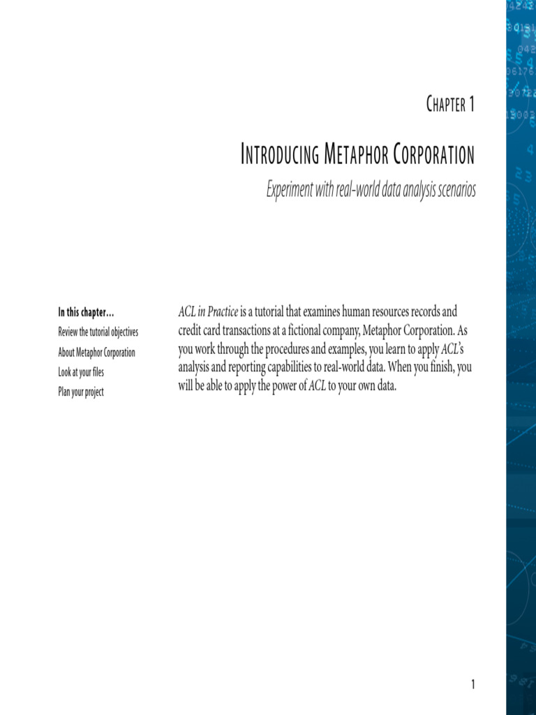 Data Analysis with ACL at Metaphor Corp | PDF | Databases | Credit Card