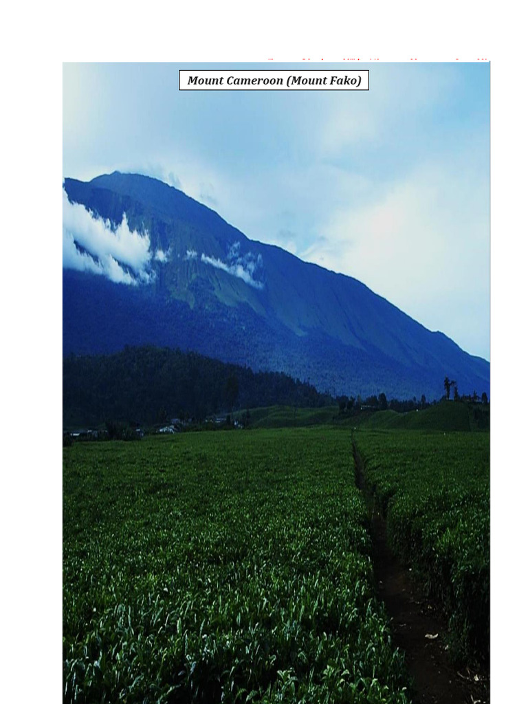 Cameroon Commonwealth Journal10 | PDF