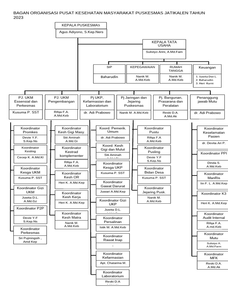 BAGAN ORGANISASI PUSAT KESEHATAN MASYARAKAT ( SOTK ) 2023 | PDF