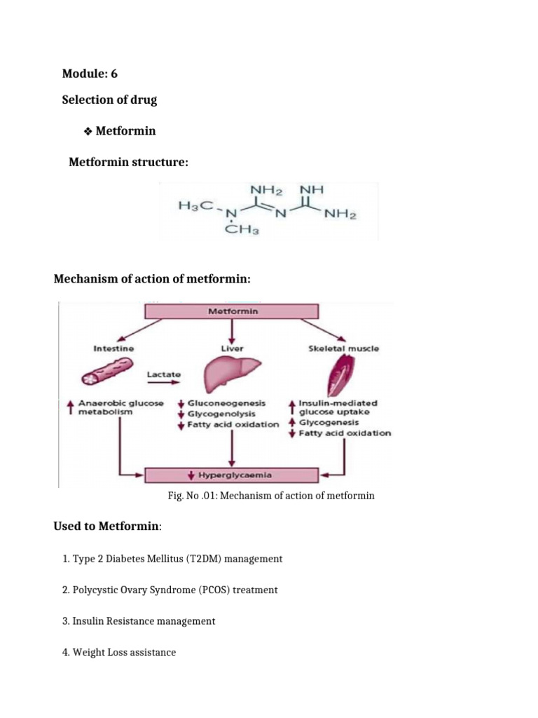 Module 6sb PDF A (2) .PDF Ss | PDF