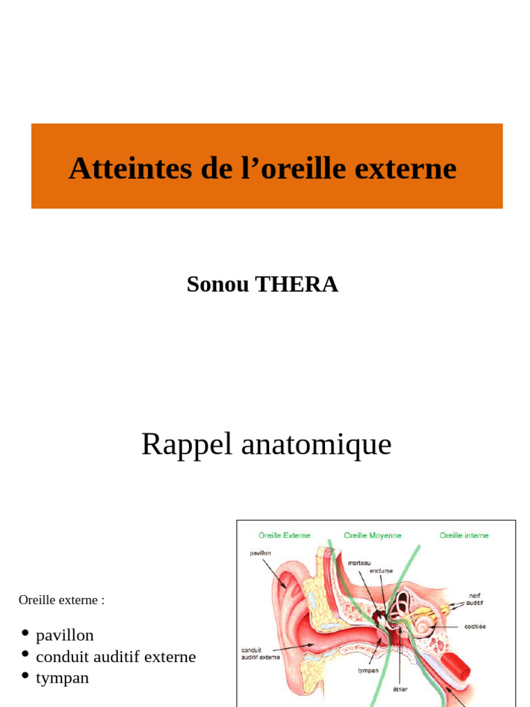 OTITES EXTERNES Sonou | PDF | Oreille | Maladies et troubles