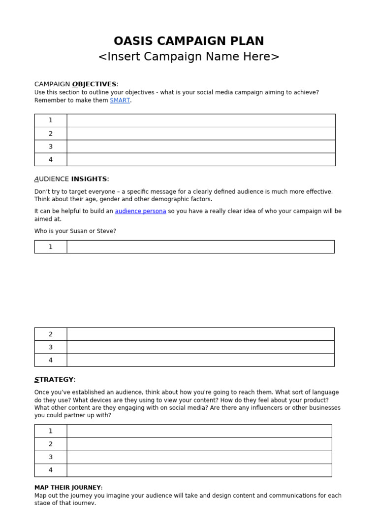 OASIS Campaign Plan Template | PDF | Social Media | Popular Culture ...