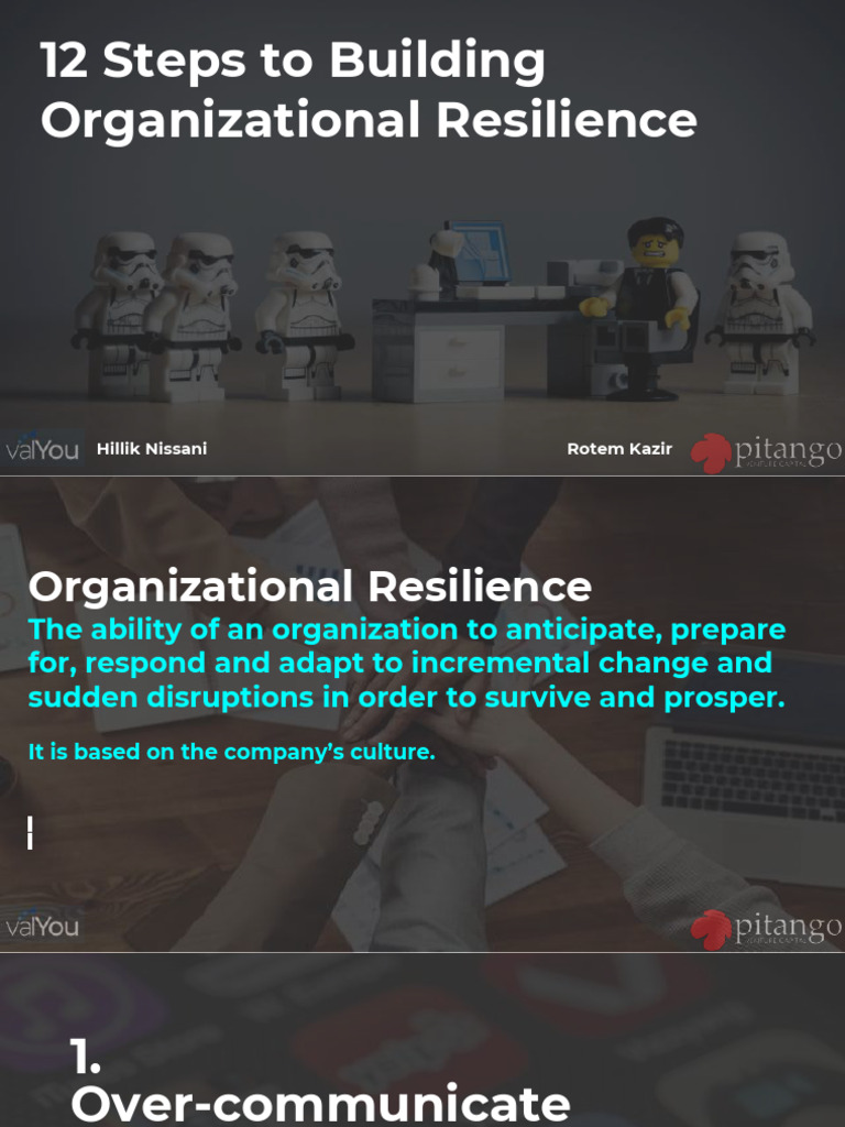 12 Steps To Building Organizational Resilience | PDF | Psychological ...