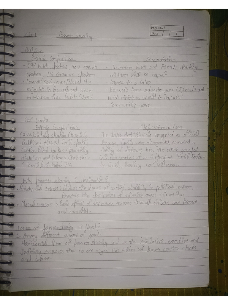 Class 10 Civics Chapter 1 Notes | PDF