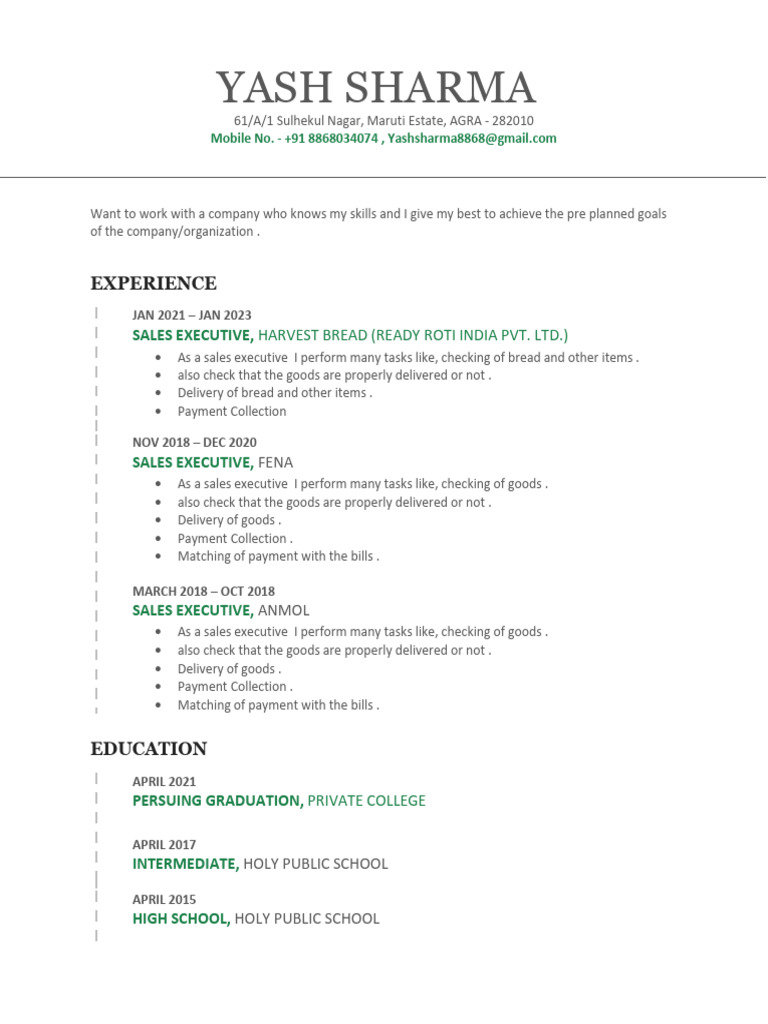 Yash - CV - 230221 - 143837 | PDF