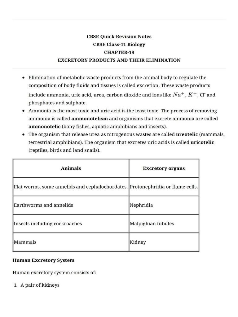 Excretory System | PDF