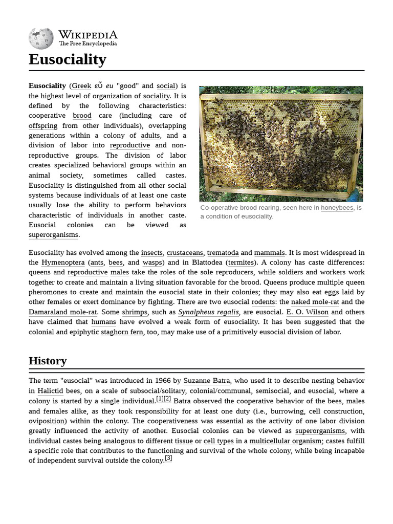 Eusociality | PDF | Eusociality | Zoology
