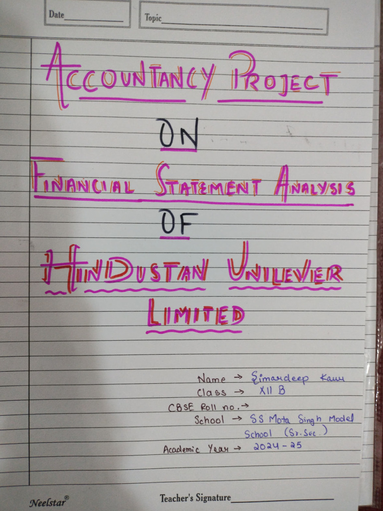 Accountancy Project HUL | PDF