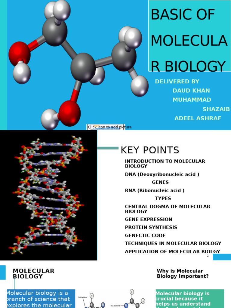 Basic of Molecular Biology | PDF | Rna | Dna