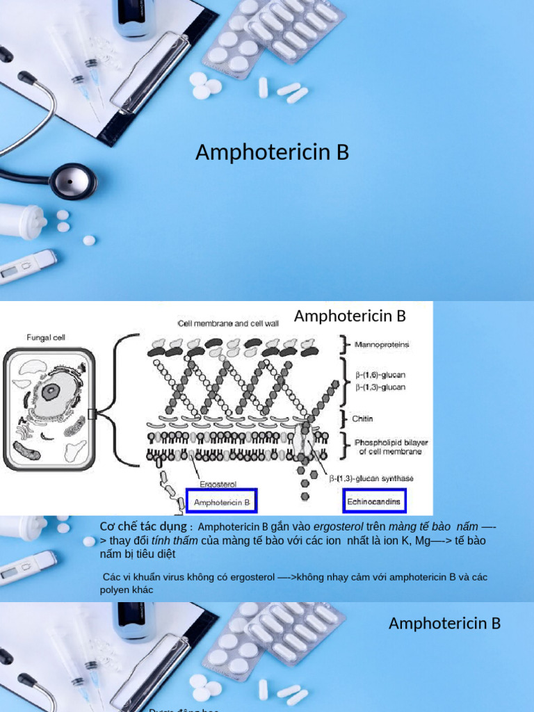 Amphotericin B | PDF