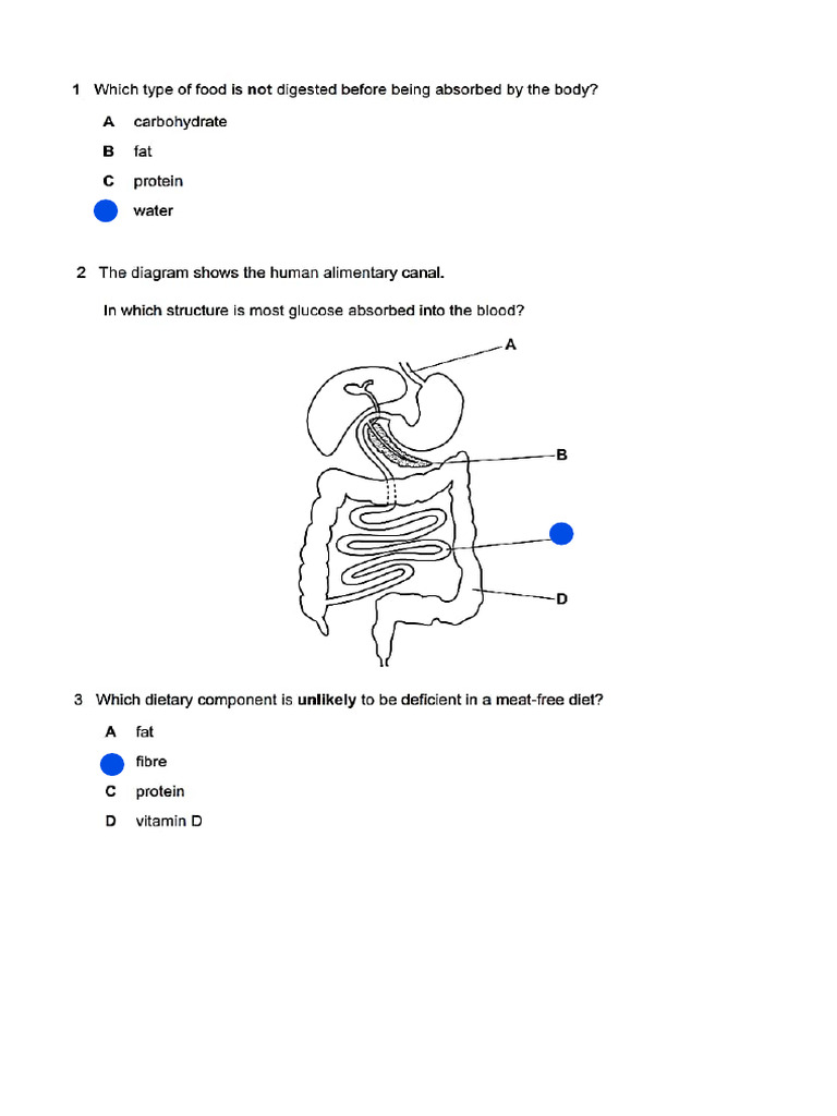 Human Nutrition and Digestion Explained | PDF