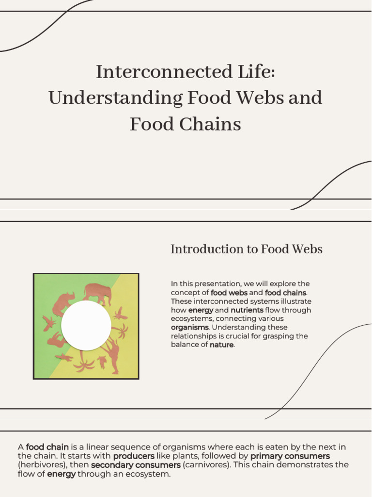 Interconnected Life Understanding Food Webs and Food Chains | PDF