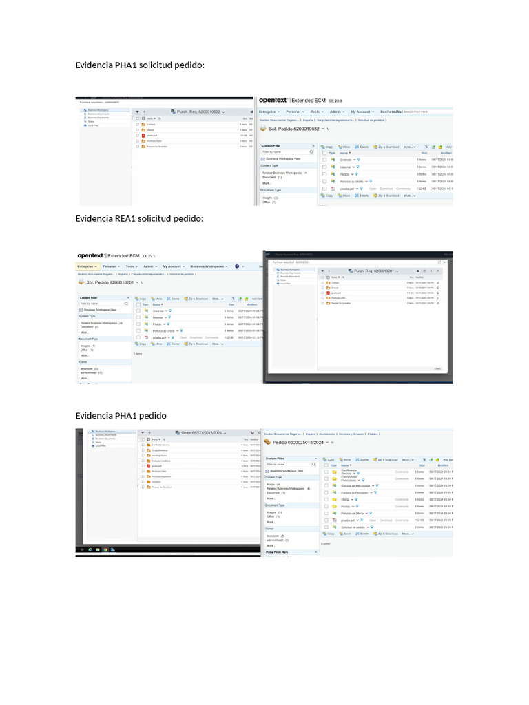 Pruebas Evo Reas Phae | PDF