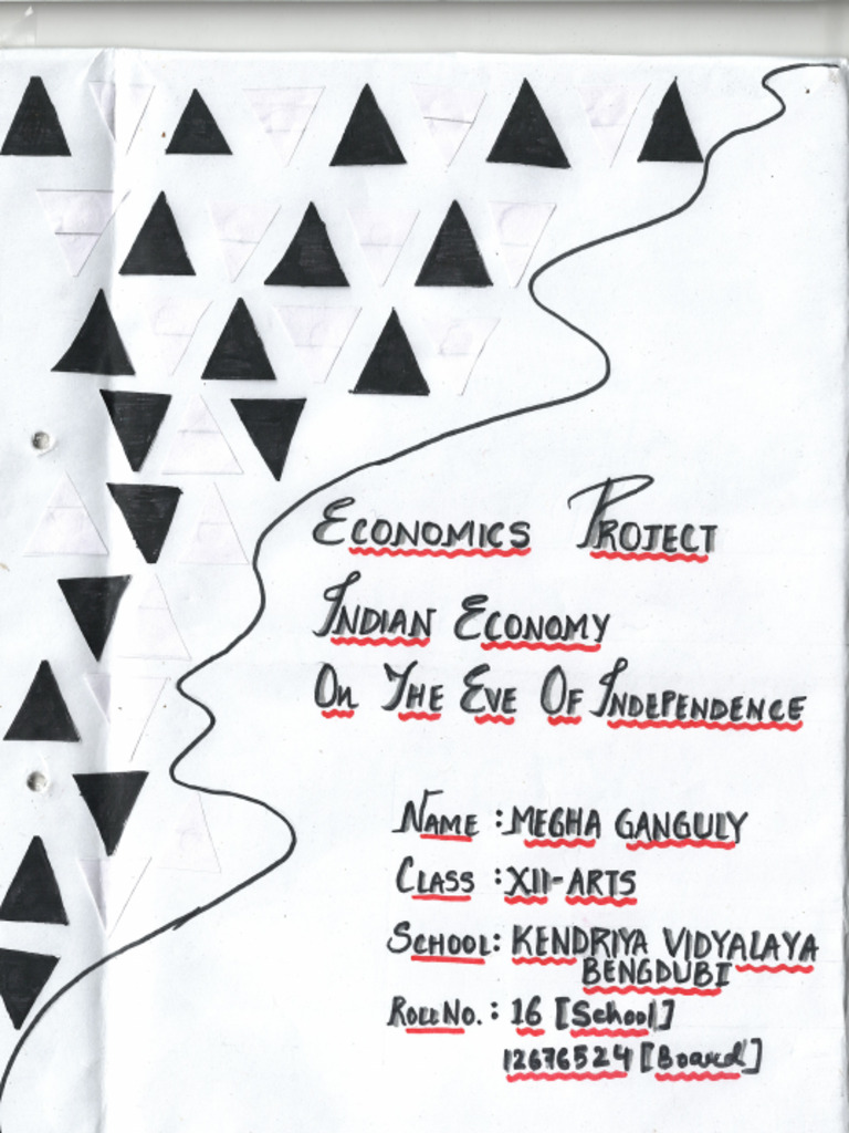Economics Project Work 2024-25aul | PDF