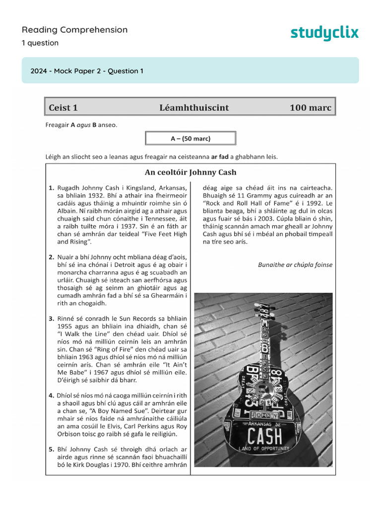 Reading Comprehension Questions | PDF