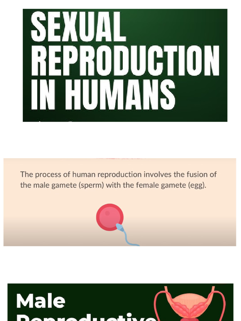Reproduction Part 2 Pdf