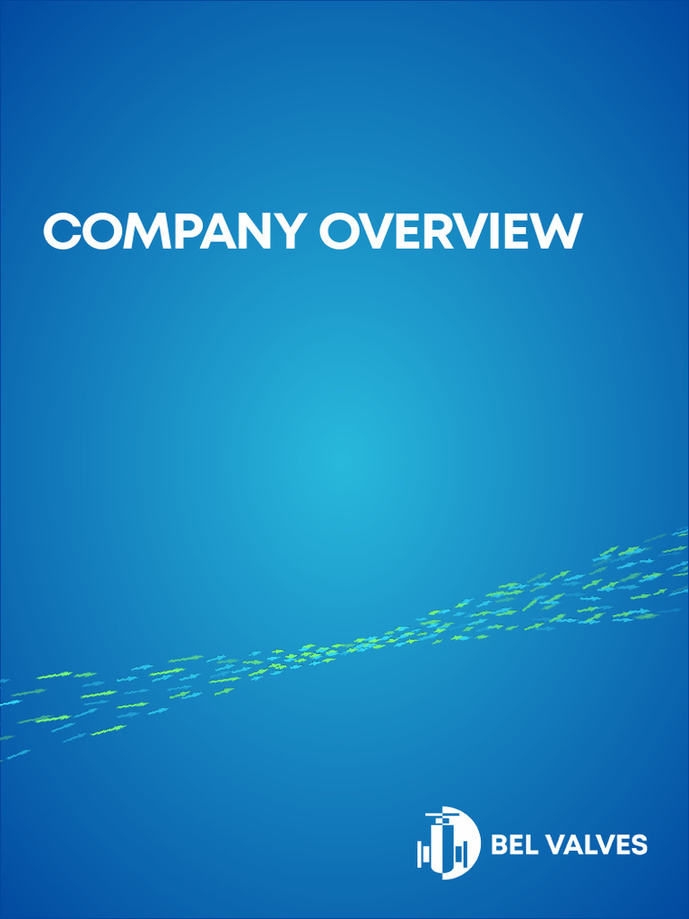 BEL-Valves-company-overview-brochure-2018-compressed_1 (2) | PDF ...