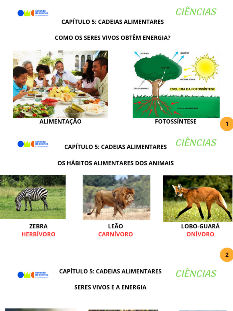 Mapa Mental - Capítulo | PDF