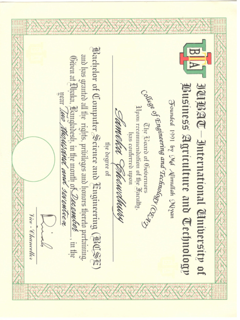 460849274-Bsc-Certificate-pdf | PDF