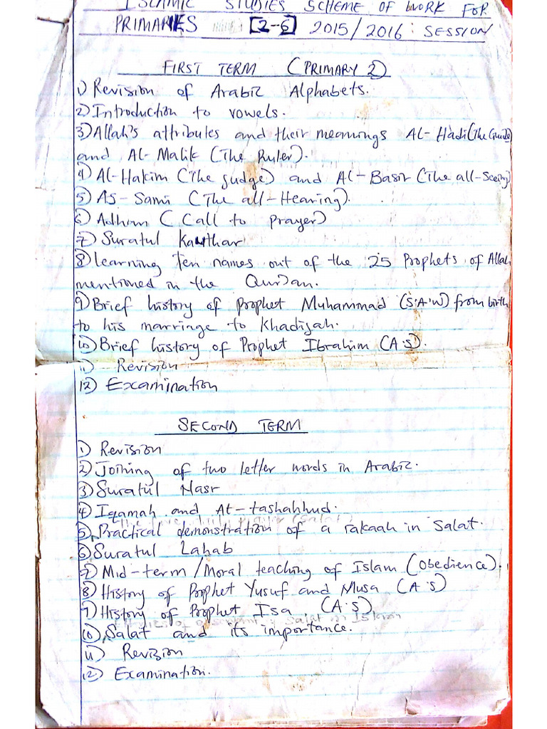 Irs Primary Scheme of Work | PDF