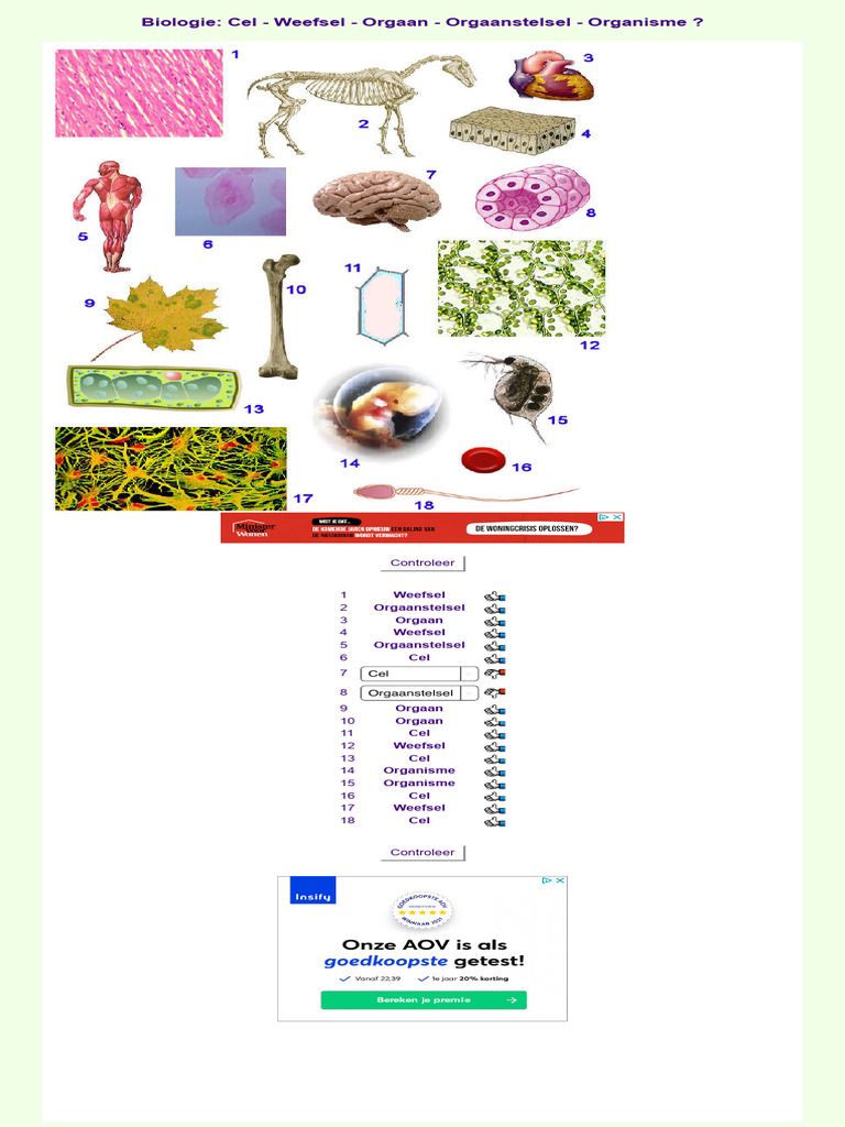 Biologie Cel - Weefsel - Orgaan - Orgaanstelsel - Organisme | PDF
