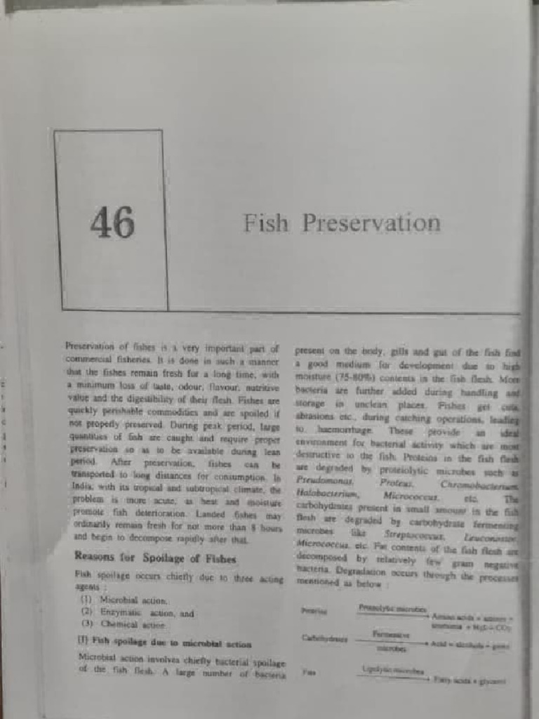 Fish Preservation | PDF | Decomposition | Food Preservation