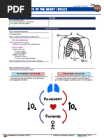 Structure of Human Heart | PDF