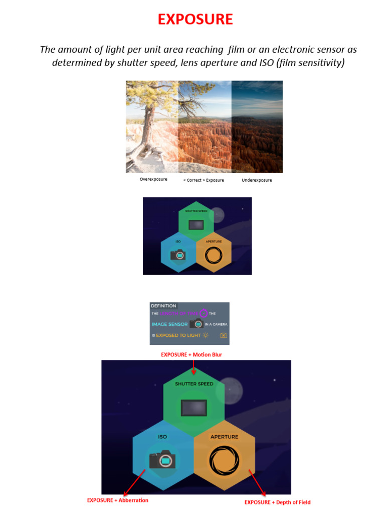 Support Exp(1) | PDF