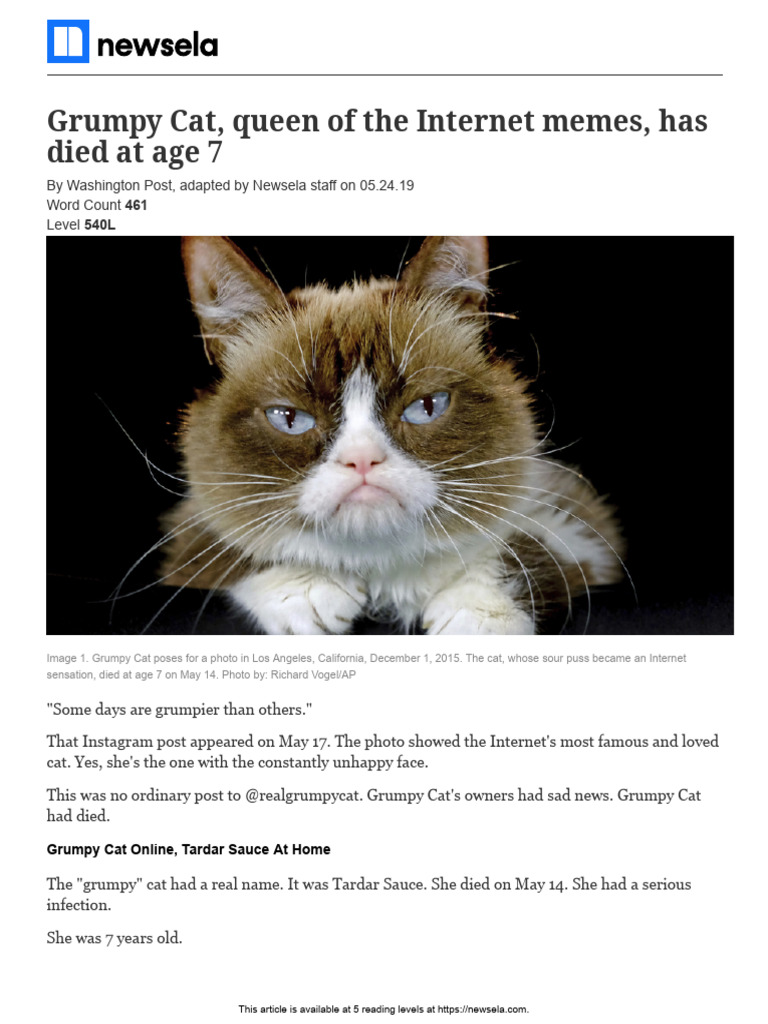 Grumpy Cat Dies 52136 Article Only | PDF | Cats
