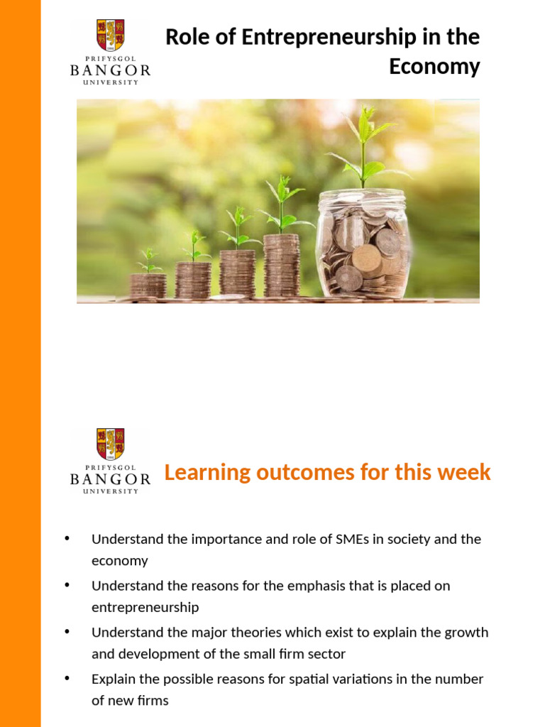 Role of SMEs in the Economy 2022 (3) | PDF | Entrepreneurship | Small ...