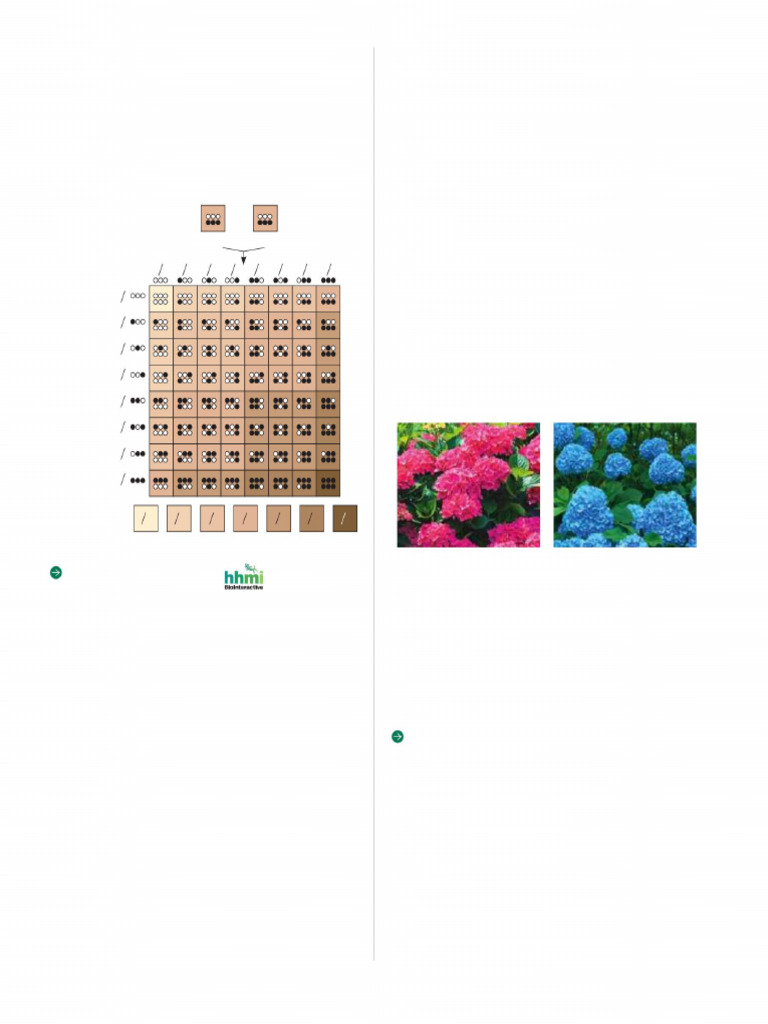 Genetika dan Lingkungan: Fenotipe | PDF