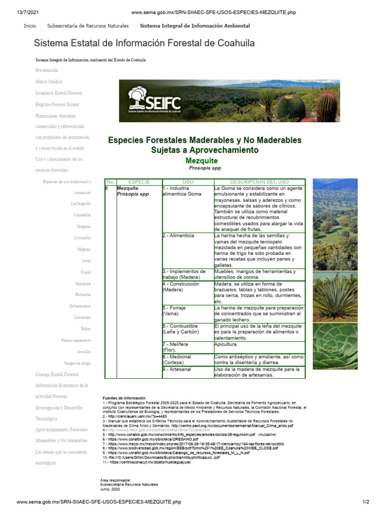 SRN Siiaec Sfe Usos Especies Mezquite | PDF