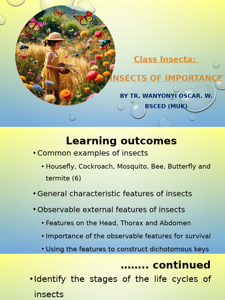 Key Insects: Features, Life Cycles, and Control | PDF | Mosquito | Insects