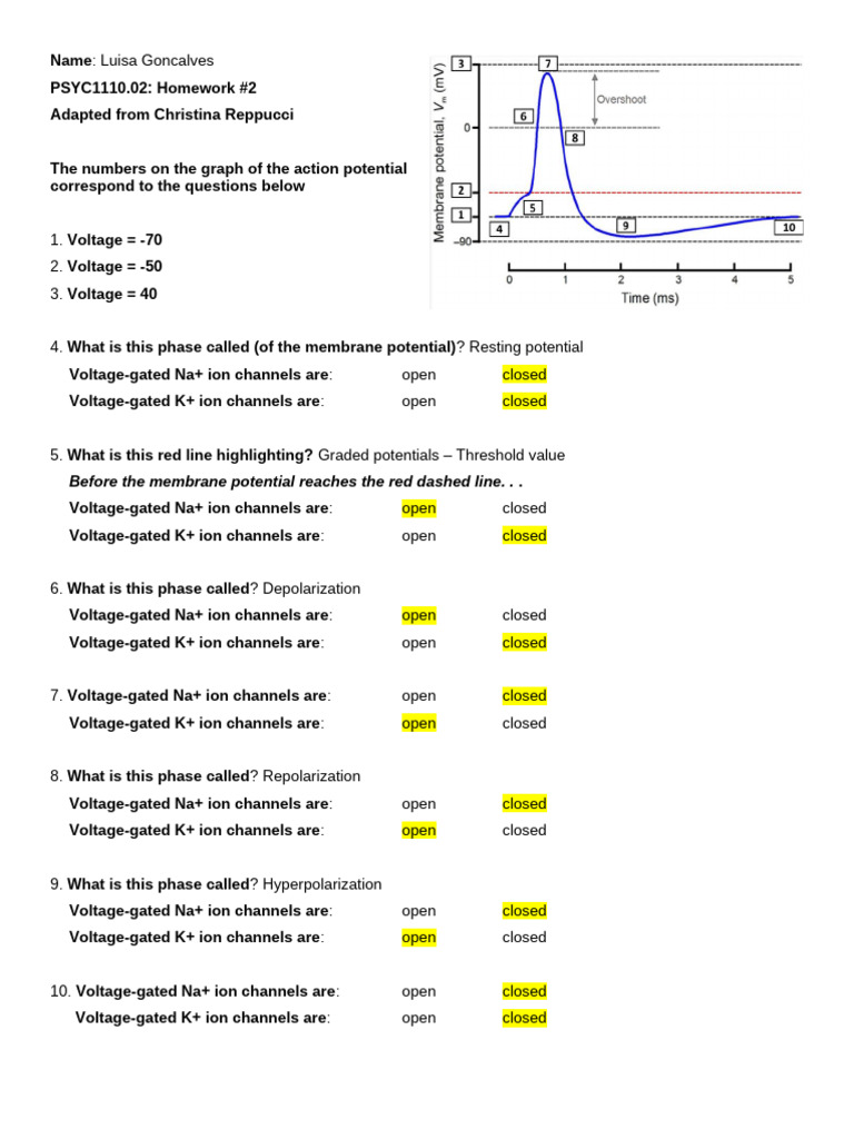 Action Potential Worksheet | PDF