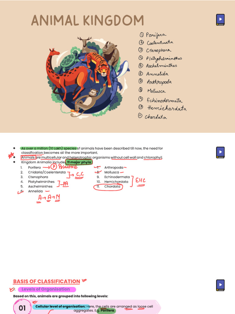 CH 4. Animal Kingdom - PPT | PDF | Anatomy