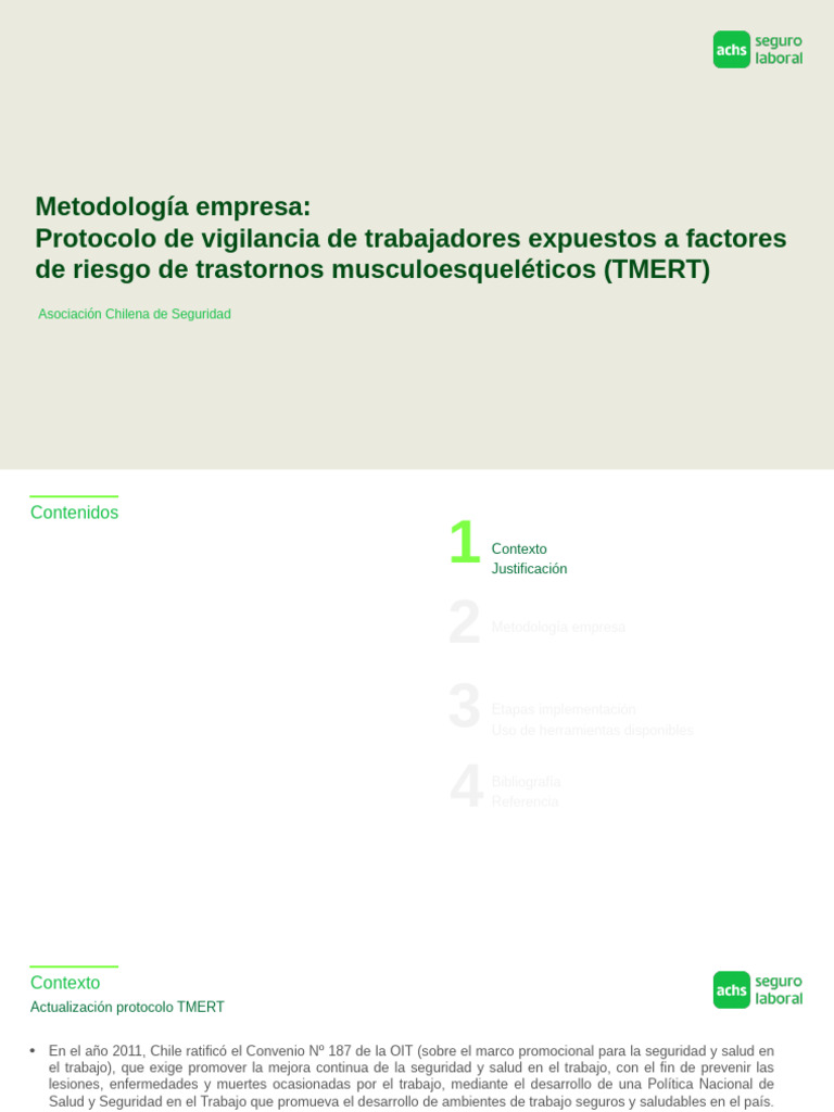 Metodología Empresa Protocolo Tmert Etapa 2 | PDF | Business | Planificación