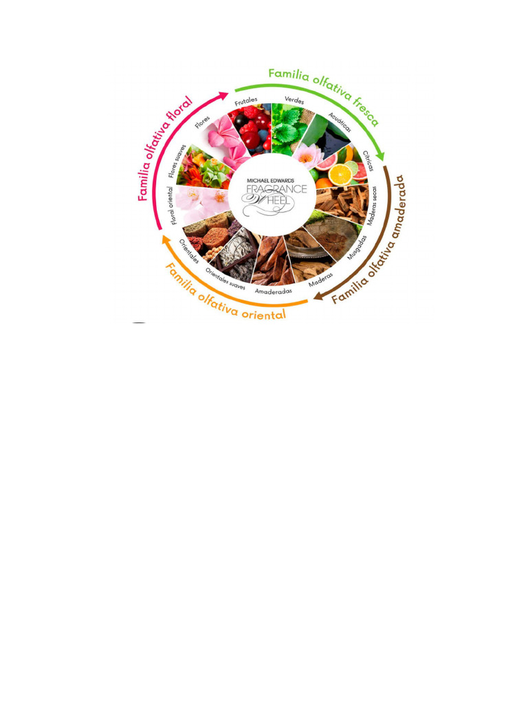 Rueda Olfativa | PDF