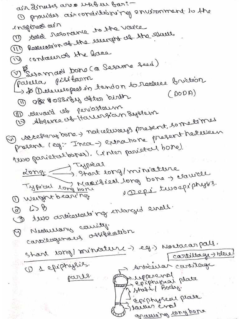 Notes 4 | PDF